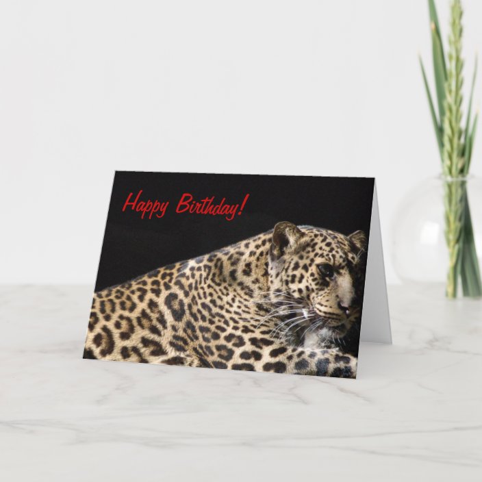 Leopard Birthday Card | Zazzle.com