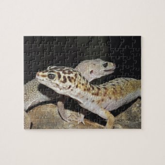 Leopard gecko design for all! jigsaw puzzle | Zazzle