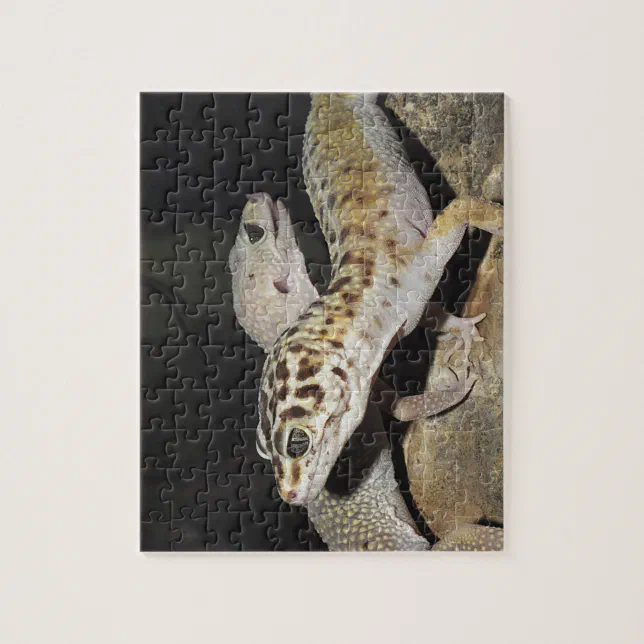 Leopard gecko design for all! jigsaw puzzle | Zazzle