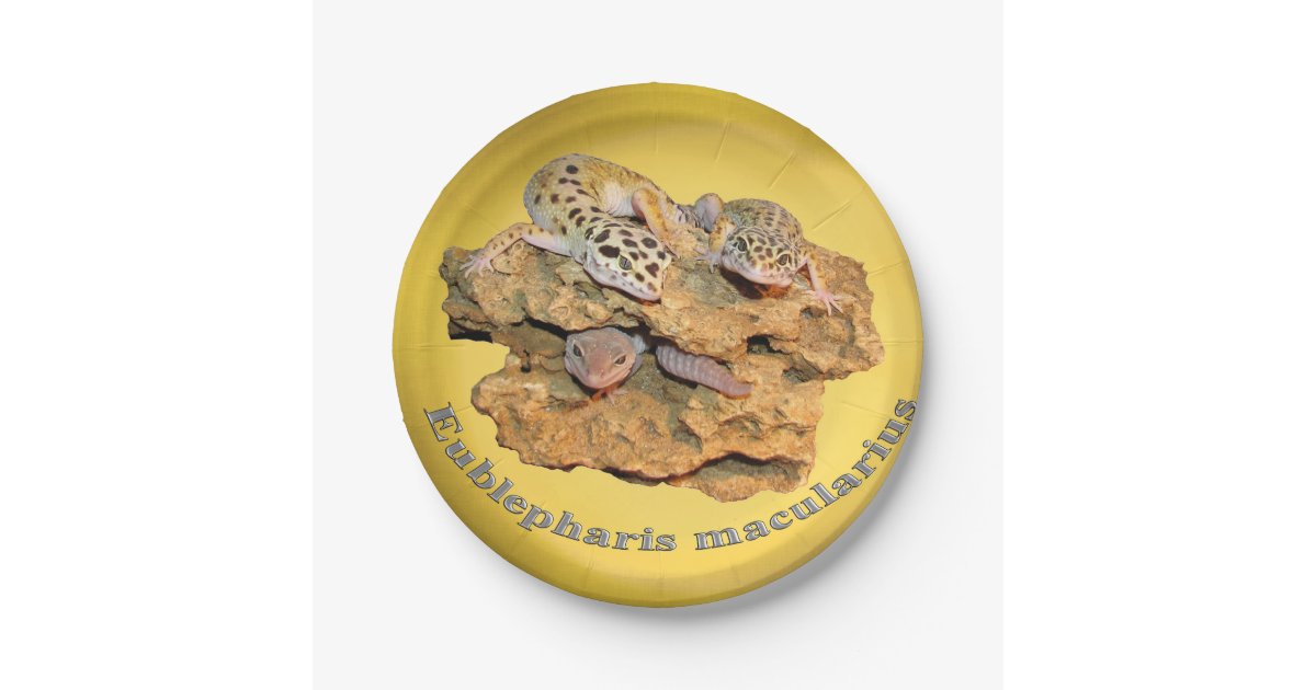Leopard gecko design for all! paper plates | Zazzle