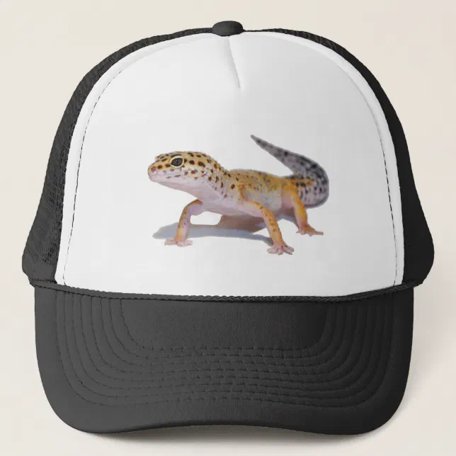 Leopard Gecko Hat | Zazzle