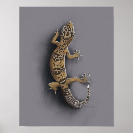 Leopard gecko lizard poster | Zazzle.com