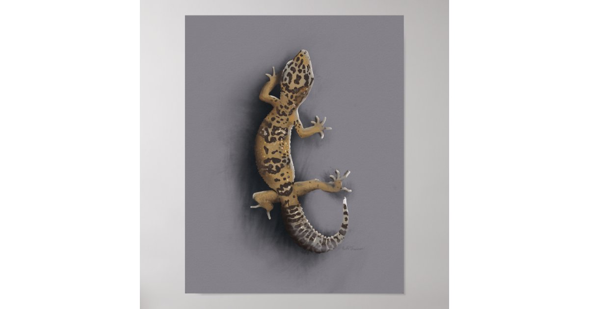 Leopard gecko lizard poster | Zazzle