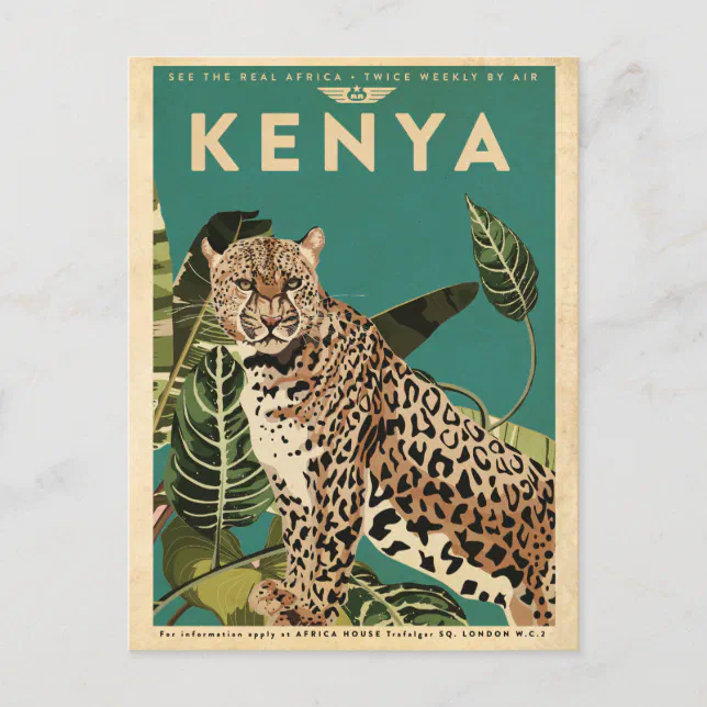 Leopard Kenya Travel Postcard | Zazzle