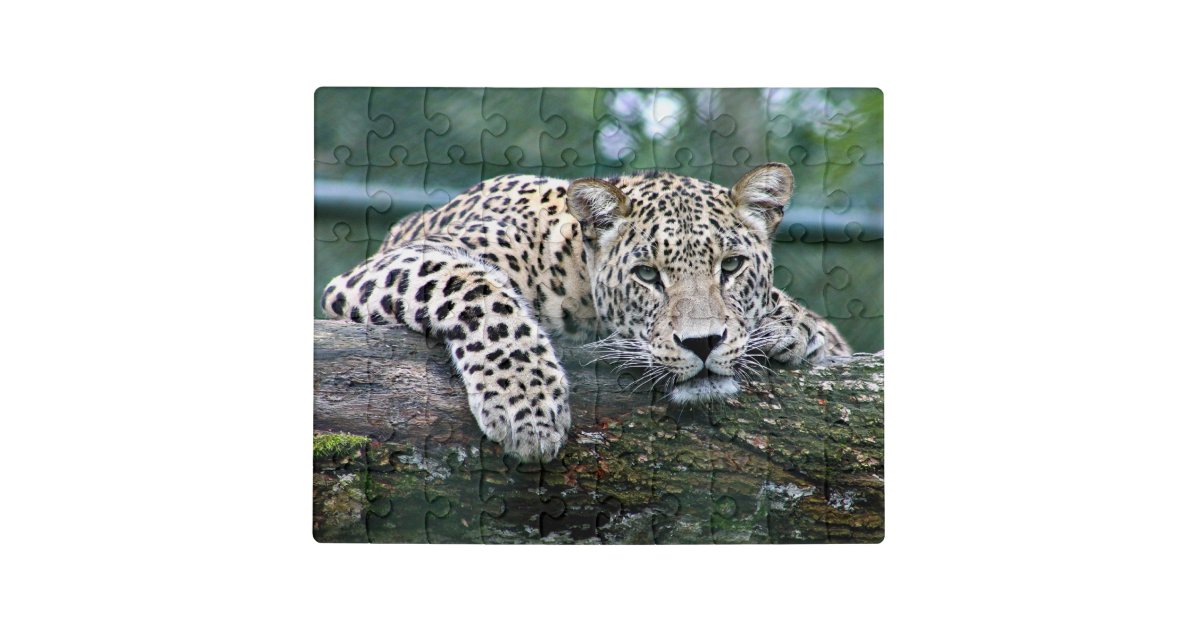 Leopard on a Log Jigsaw Puzzle | Zazzle