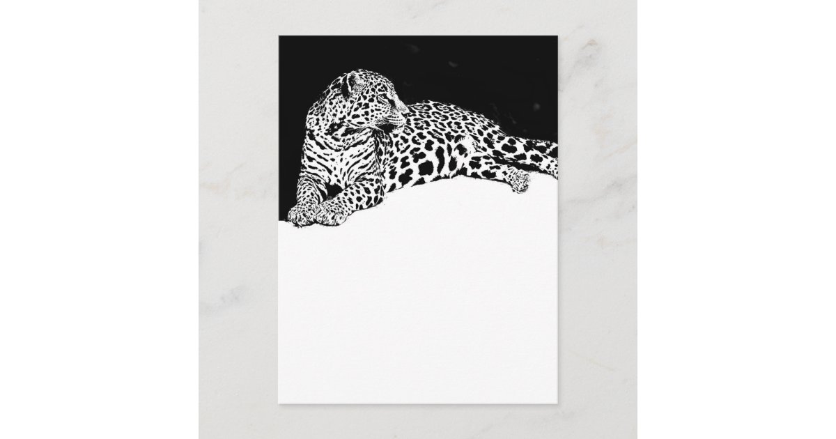 Leopard Postcard | Zazzle