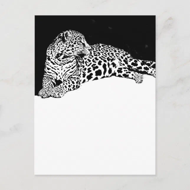 Leopard Postcard | Zazzle