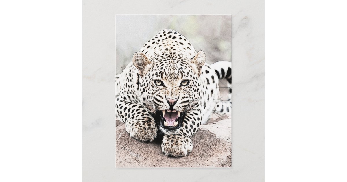 Leopard Postcard | Zazzle
