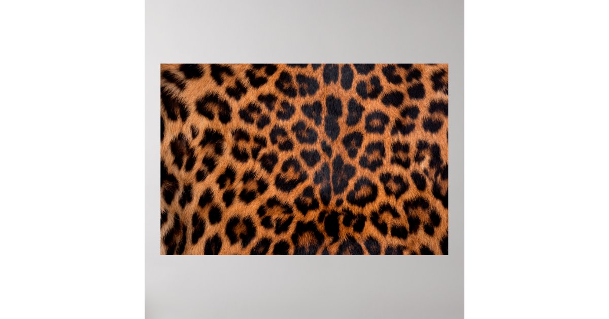 Leopard skin texture : Close-up leopard spot patte Poster | Zazzle