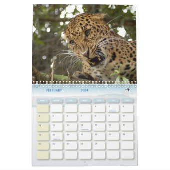LeopardCheetaro013, Leopard Calendar | Zazzle