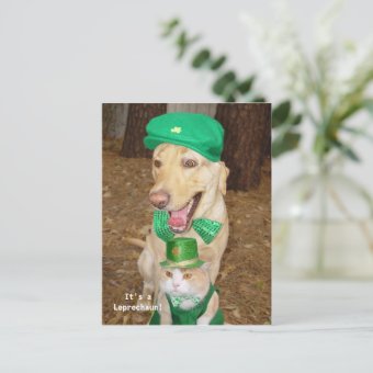Leprechaun Sighting! Postcard | Zazzle