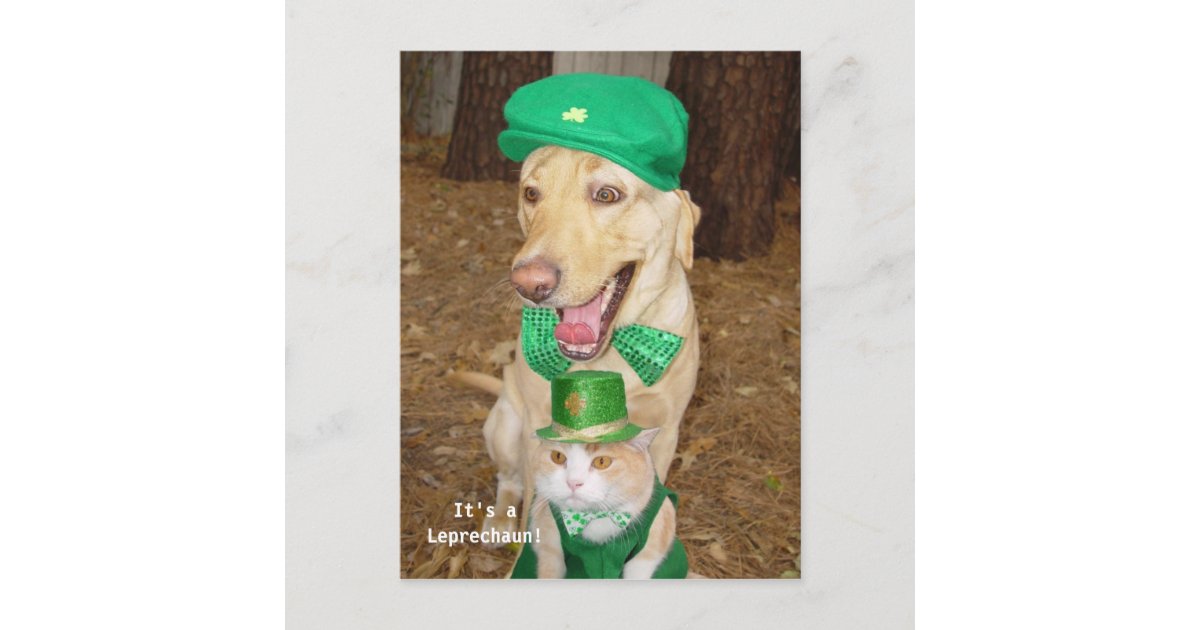Leprechaun Sighting! Postcard | Zazzle