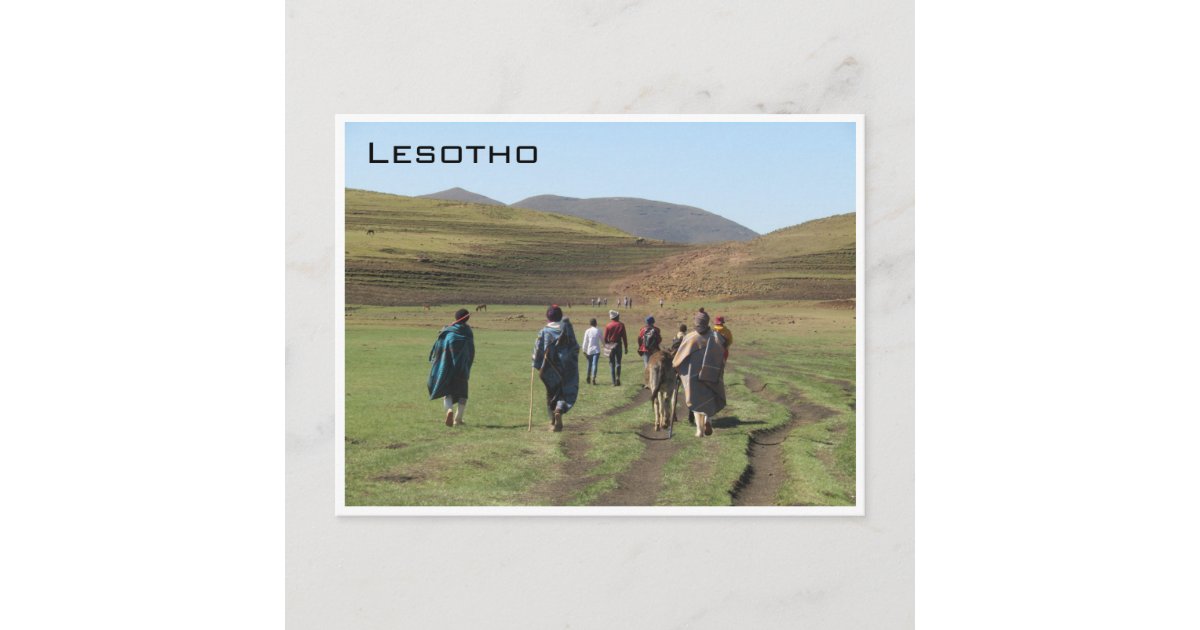 lesotho shepherds postcard | Zazzle