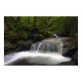 Let it Flow 36 x 24 Poster | Zazzle
