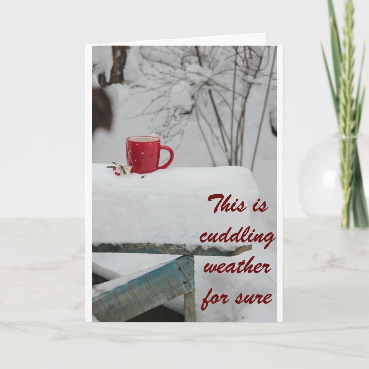 *LET'S CUDDLE* AND YOU WILL HAVE A HAPPY BIRTHDAY CARD | Zazzle