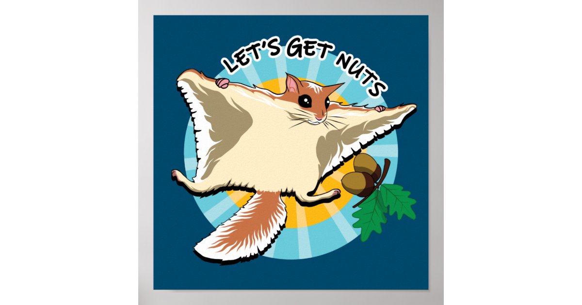 Let's Get Nuts - Flying Squirrel Poster | Zazzle