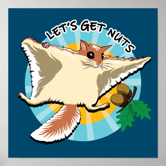 Let's Get Nuts - Flying Squirrel Poster | Zazzle