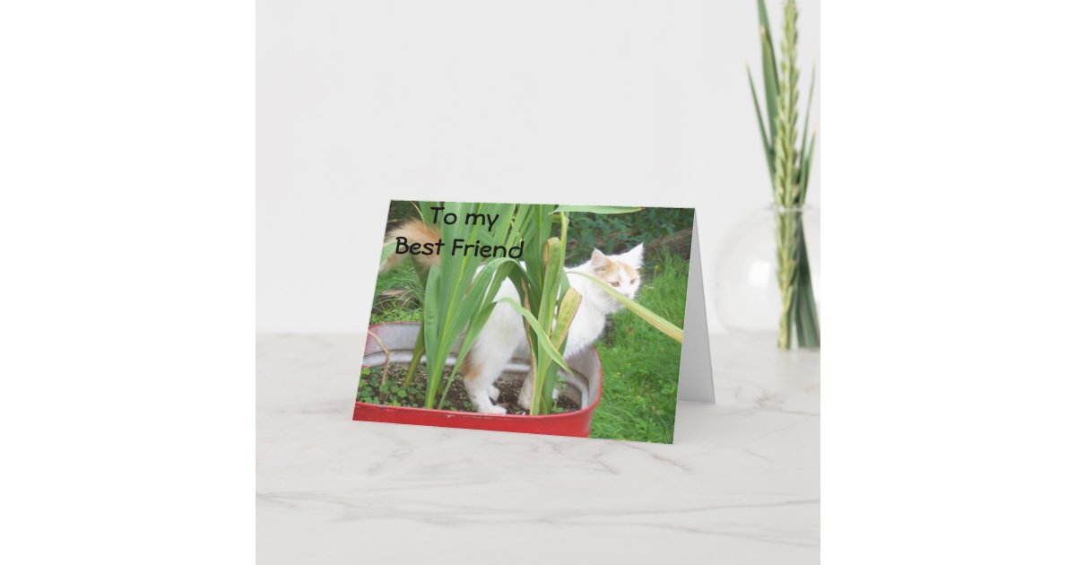**LET'S GET TOGETHER SOON MISS U BEST FRIEND" CARD | Zazzle