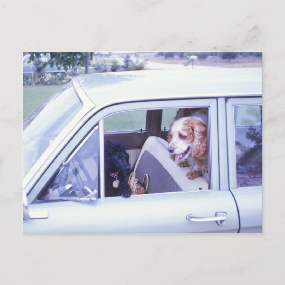 Let's Go Bye Bye Postcard | Zazzle