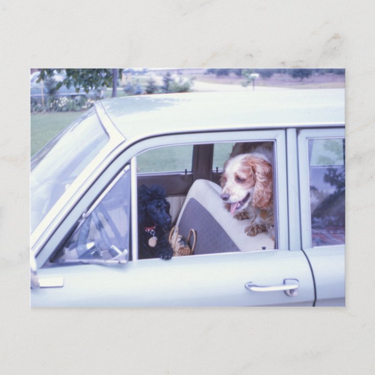 Let's Go Bye Bye Postcard | Zazzle