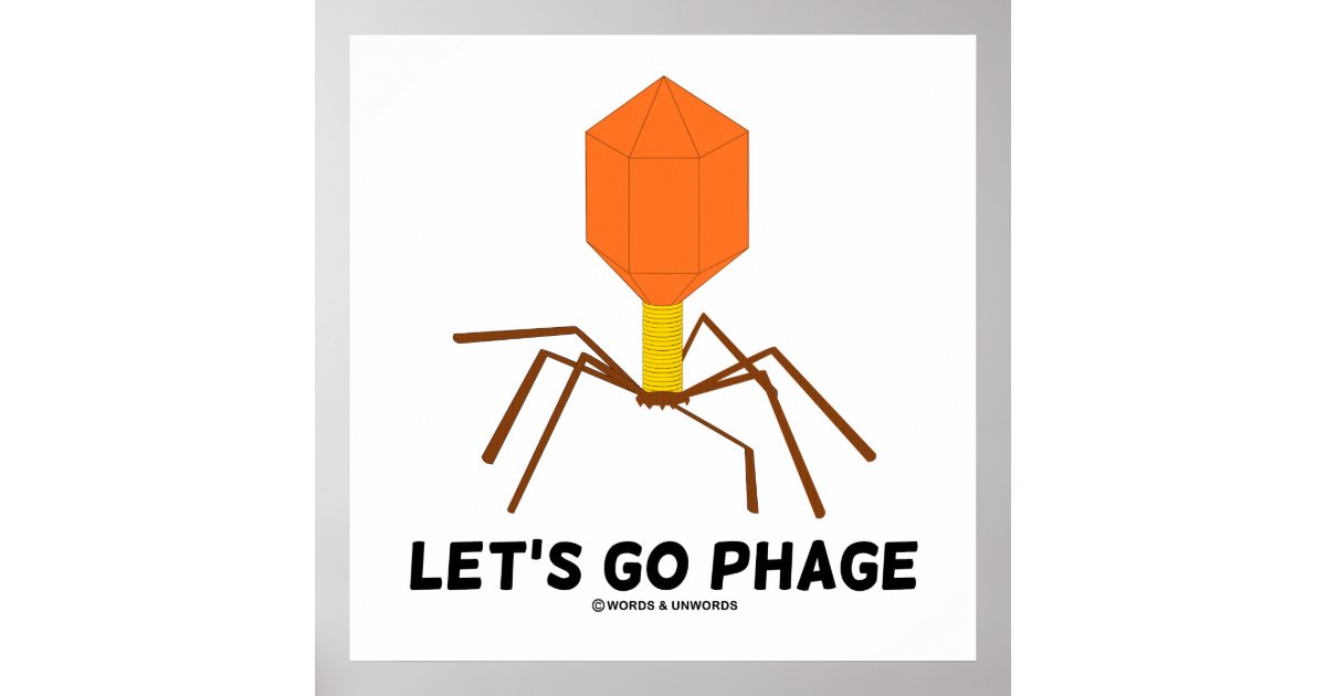 Let's Go Phage Virus Bacteriophage Poster | Zazzle