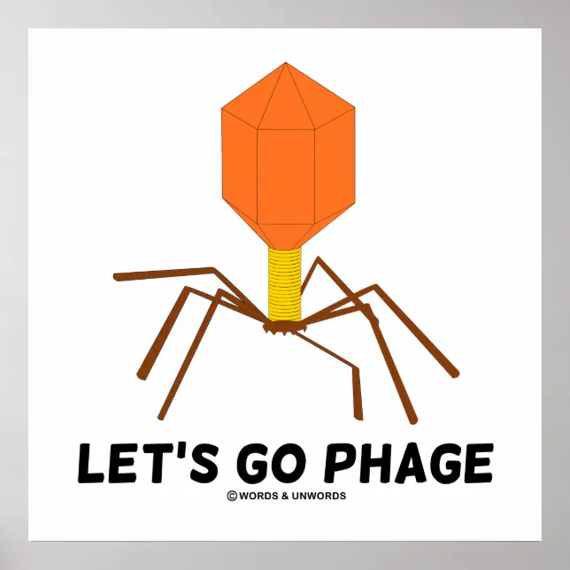 Let's Go Phage Virus Bacteriophage Poster | Zazzle