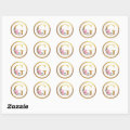 Letter G Monogram Pink Roses Floral & Elegant Gold Classic Round ...