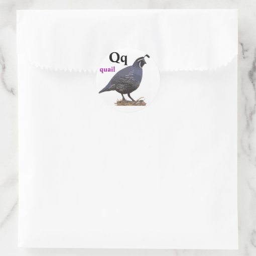 Letter Q quail Stickers | Zazzle