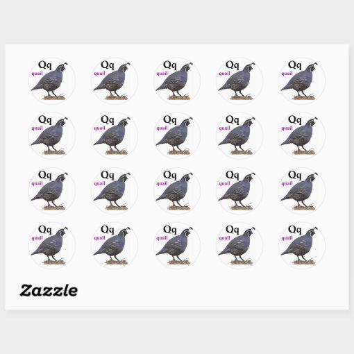 Letter Q quail Stickers | Zazzle