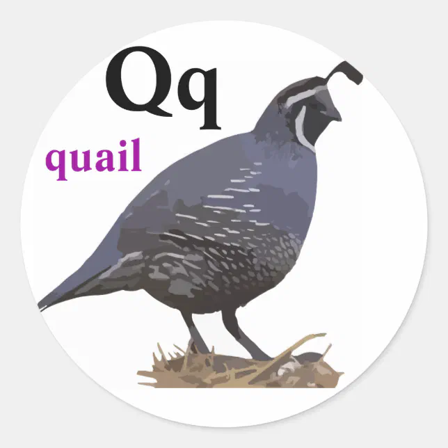 Letter Q quail Stickers | Zazzle