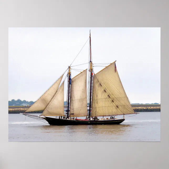 Lettie G Howard Poster | Zazzle