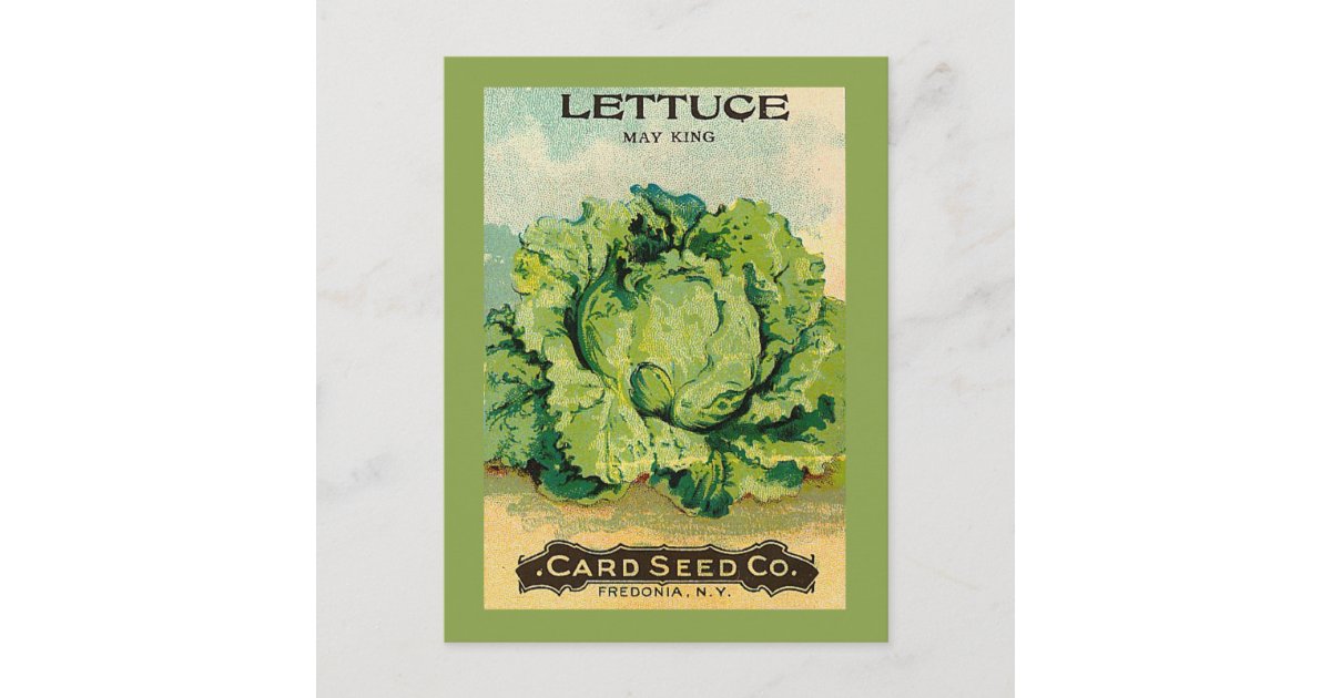 Lettuce Seed Pack Postcard | Zazzle