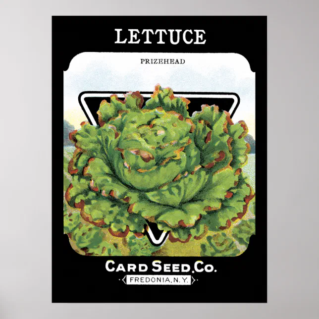 Lettuce Seed Packet Label Poster | Zazzle