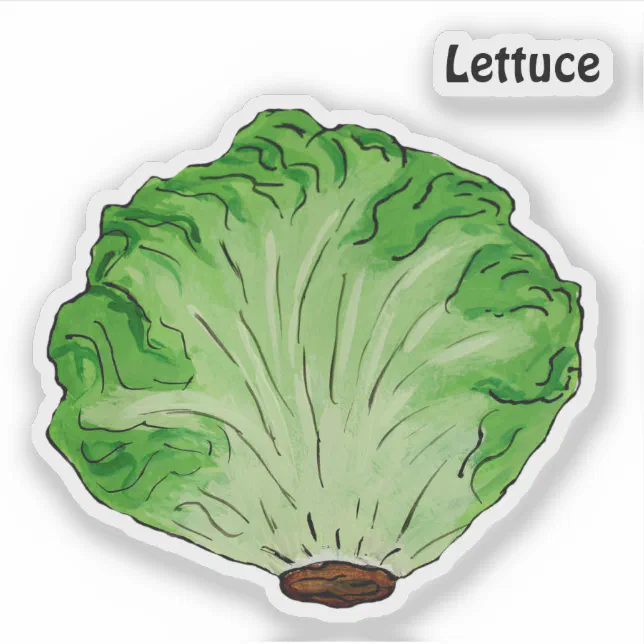 Lettuce Sticker | Zazzle