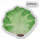 Lettuce Sticker | Zazzle