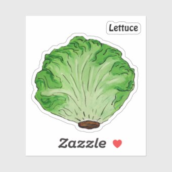 Lettuce Sticker | Zazzle