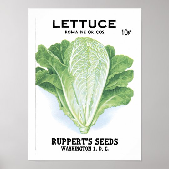Lettuce Vintage Seed Packet Poster | Zazzle.com