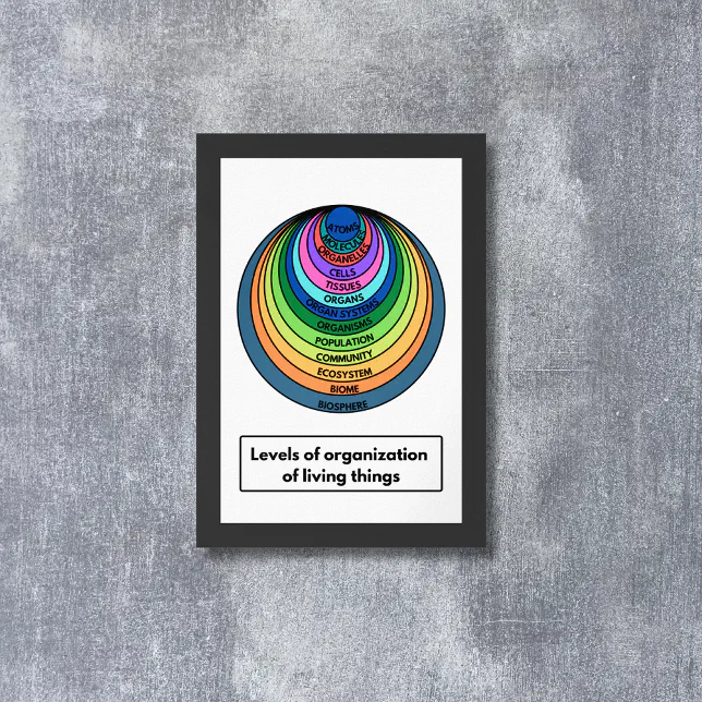 Levels of organization of living things poster | Zazzle
