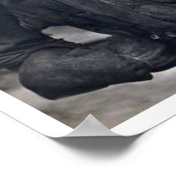 Lewis Wickes Hine - Portrait of Tipple Boy Poster | Zazzle