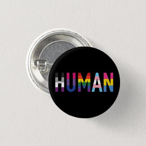 lgbt gay bi trans pan ace pride flags feminist button | Zazzle