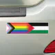 LGBT Palestine Flag Progress Pride Flag Bumper Sticker | Zazzle