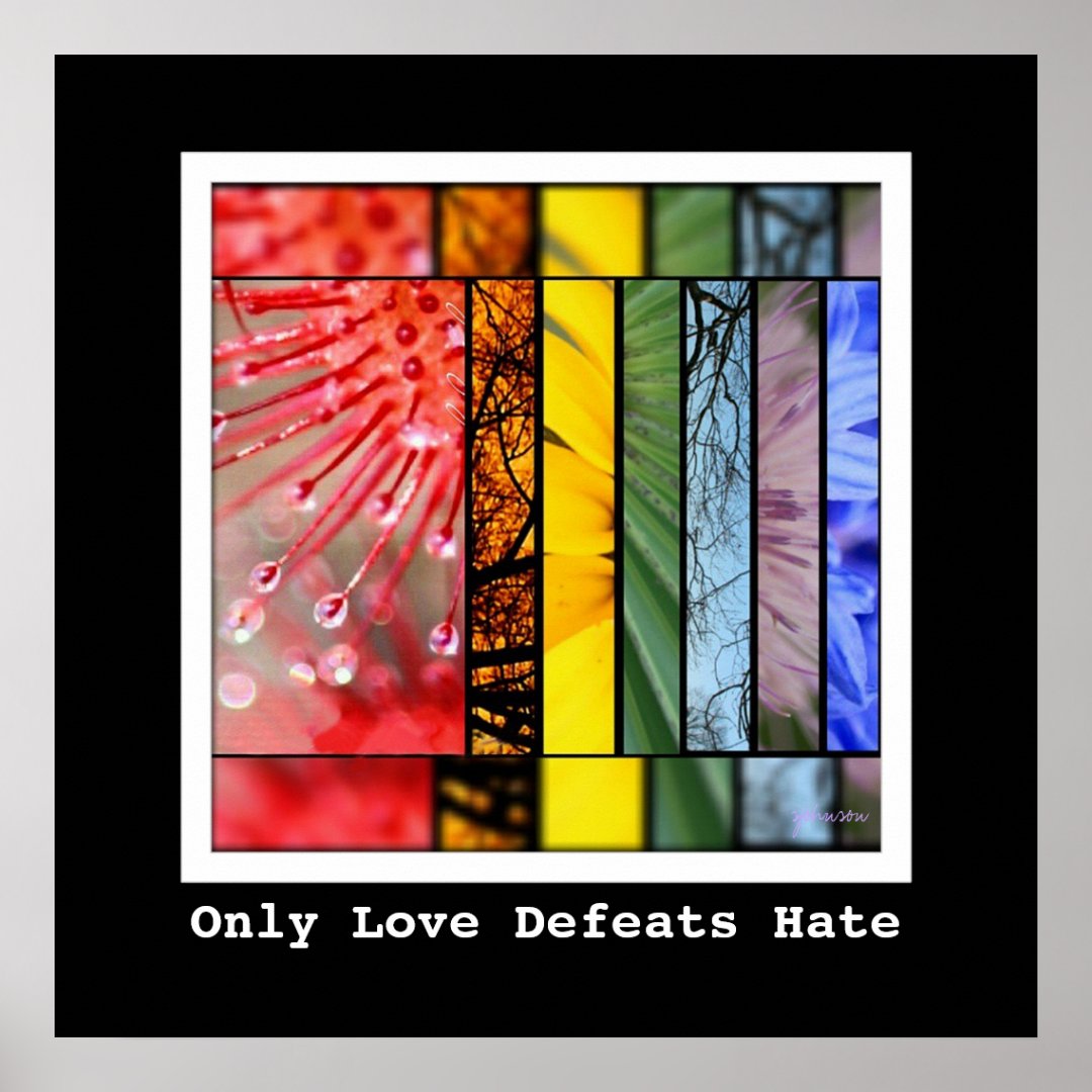 LGBT Pride Symbol Love Defeats Hate Nature Rainbow Poster | Zazzle