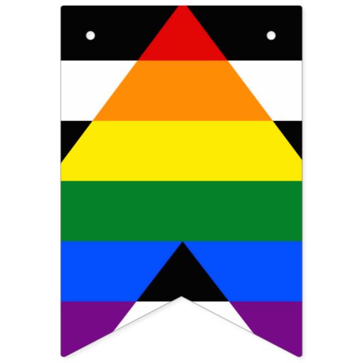 LGBT straight ally flag banner | Zazzle