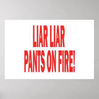 Liar Posters, Liar Prints, Art Prints, Poster Designs