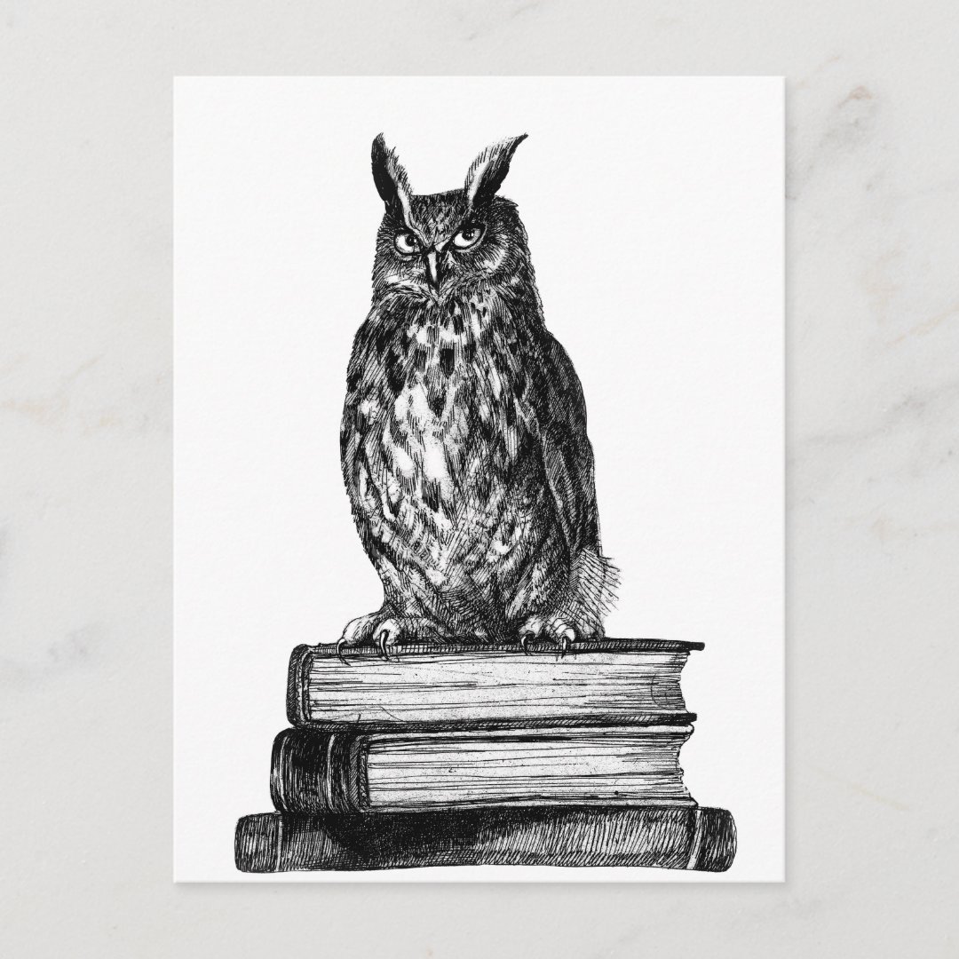 Library Owl Postcard | Zazzle