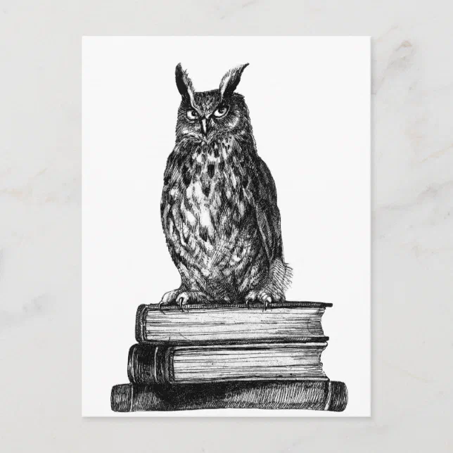 Library Owl Postcard | Zazzle