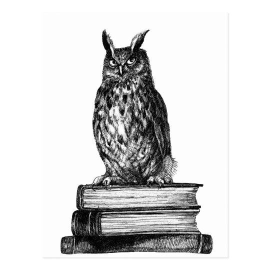 Library Owl Postcard | Zazzle.com