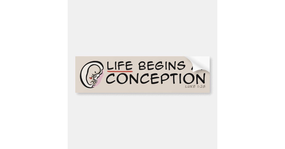 Life Begins At Conception Bumper Sticker | Zazzle