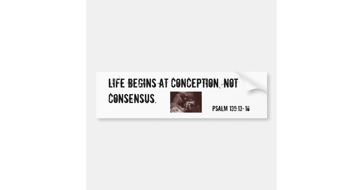 Life begins at conception. bumper sticker | Zazzle