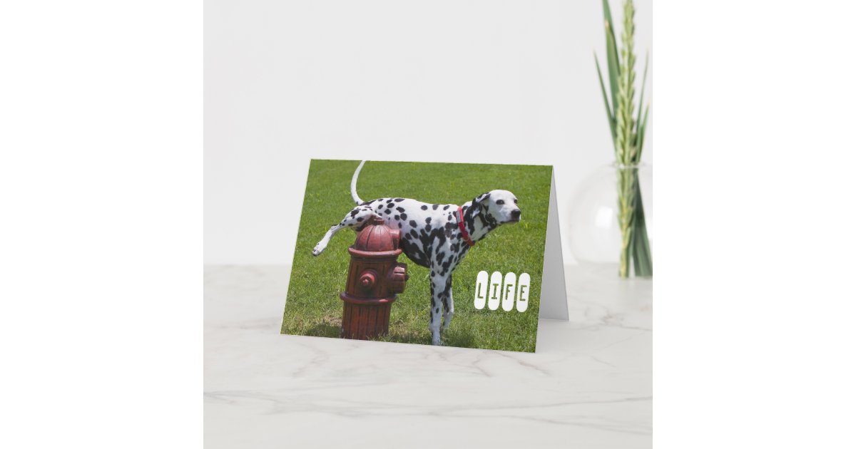LIFE CARD | Zazzle